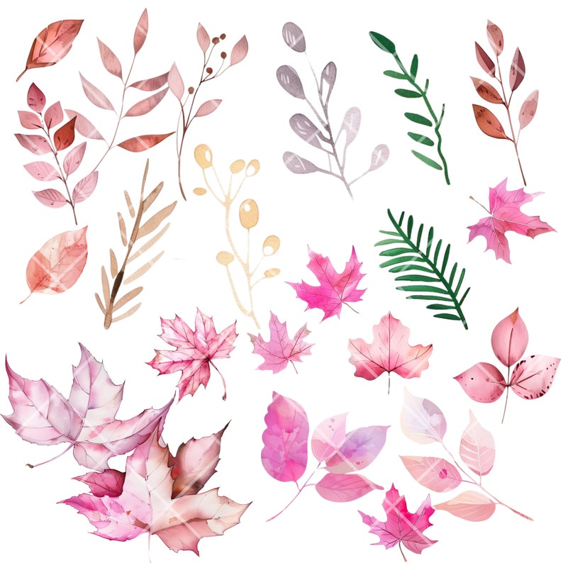Cute Pink Autumn Clipart, Watercolor PNG, Instant Download, Fall ...