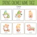 Spring Gnomes Name Tags Template Classroom Editable | Printable ...