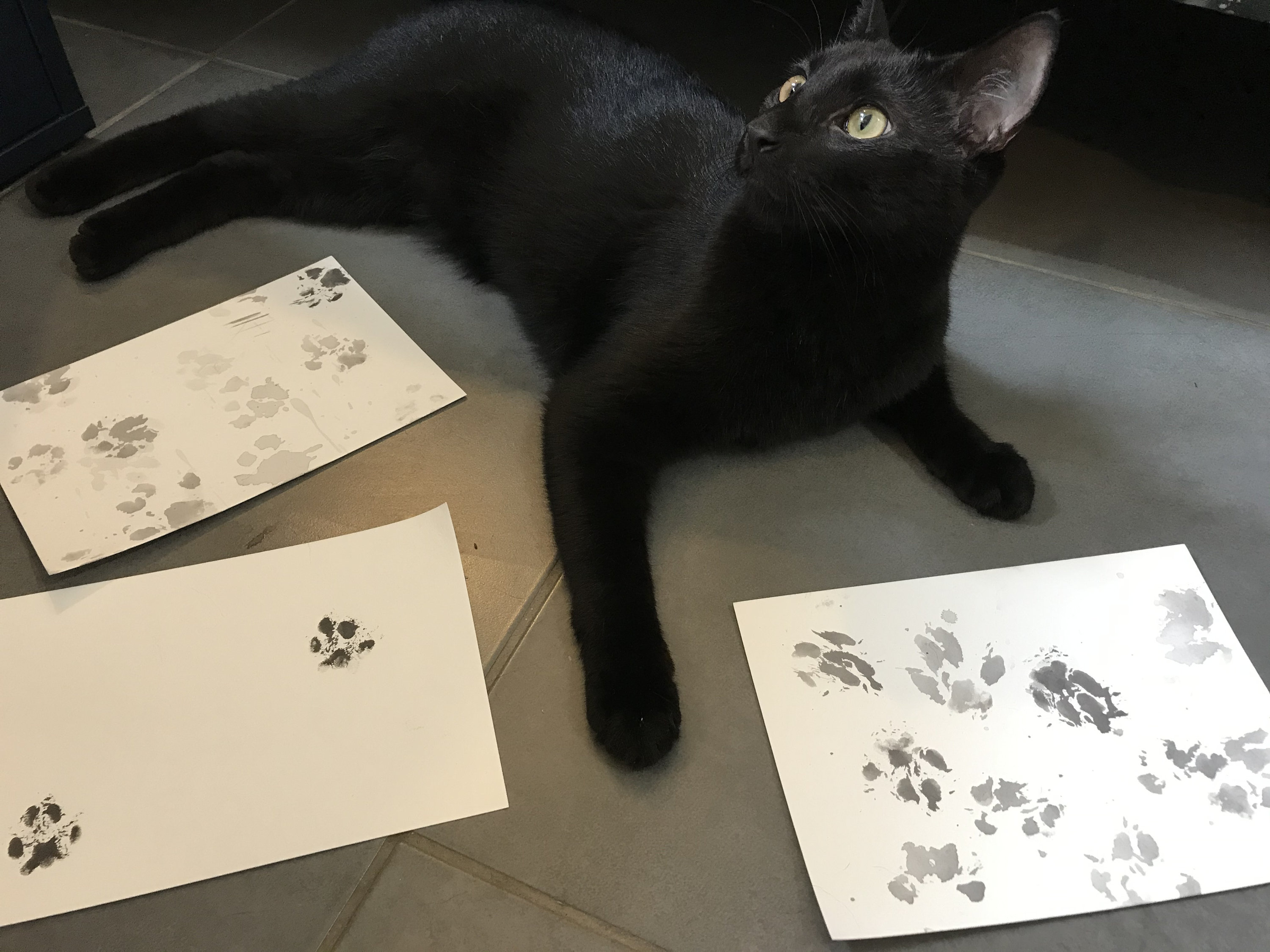 Black Cat Kit Digital Kit for Junk Journals Printable Cards - Etsy