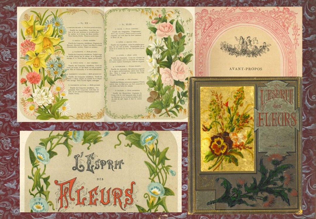 The Spirit of Flowers Printable Kit, Antique French Floral Book Pages ...