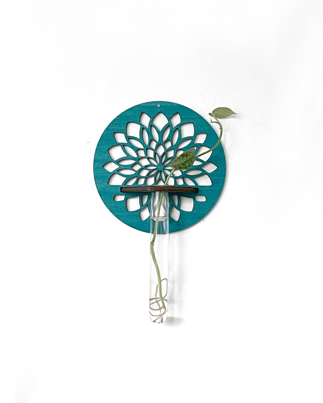 Wood Mandala Flower Propagation Station, Wall Hanging Modern Boho ...