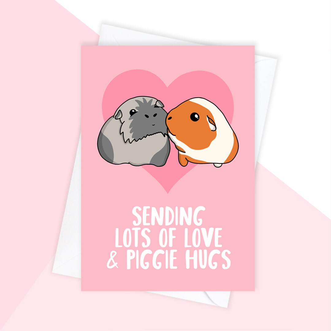 Guinea Pig Get Well Soon Card Congratulations Guinea Pig - Etsy