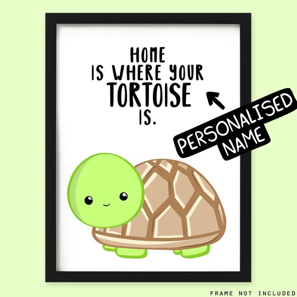 Tortoise Gifts - 60+ Gift Ideas for 2024
