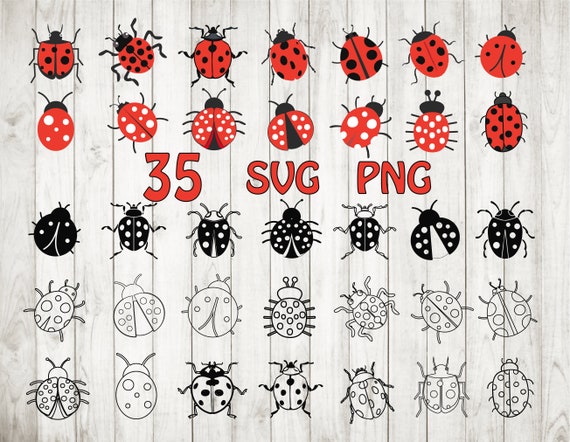 35 X Ladybug Bundle Ladybug Svg Ladybug Cut File Ladybug | Etsy
