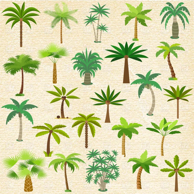 24 x paquete SVG de palmera, SVG de palmera, imágenes prediseñadas de ...