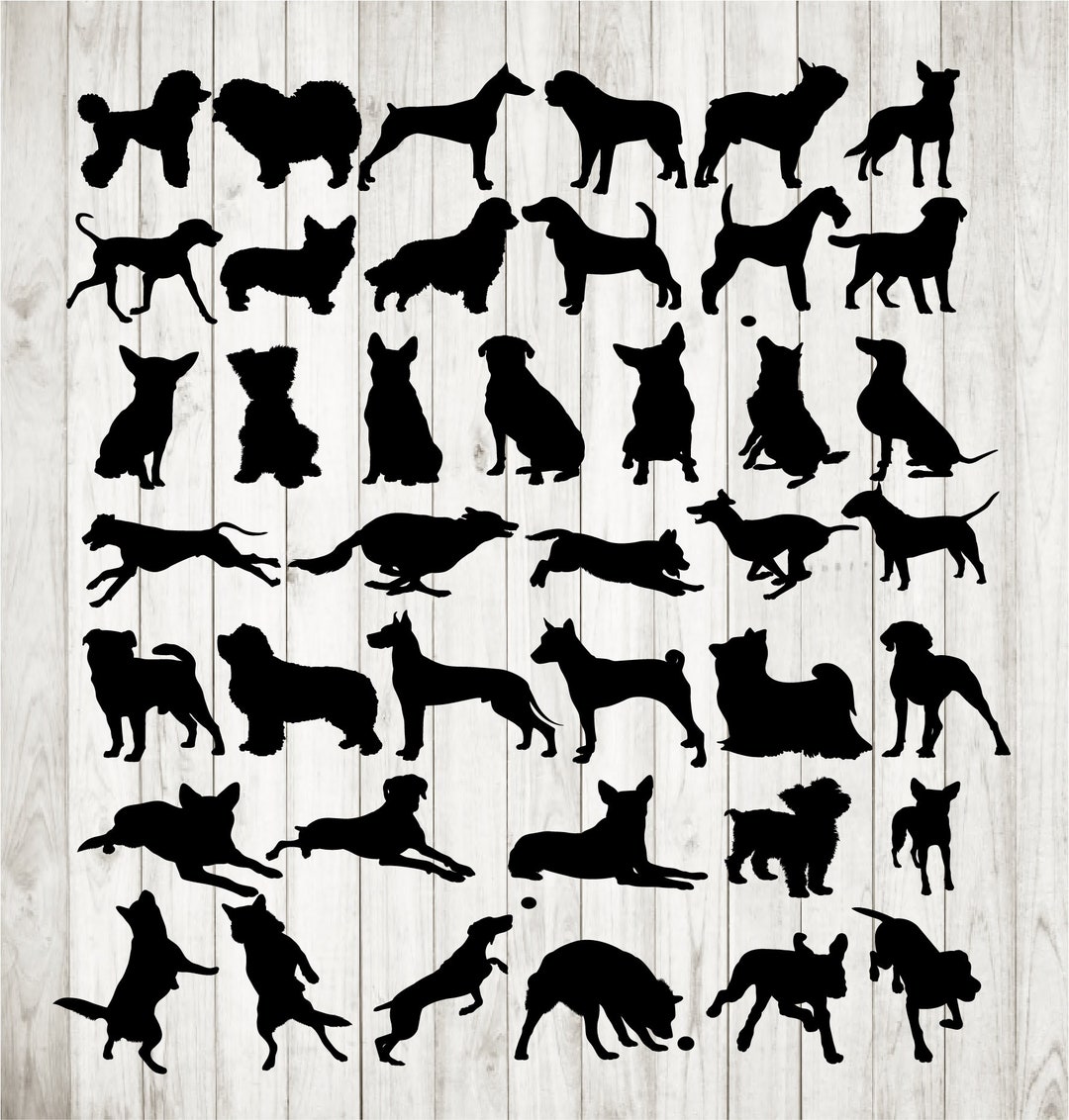 41 x Perros SVG Bundle, perros svg, perros cortan archivo, perros para ...