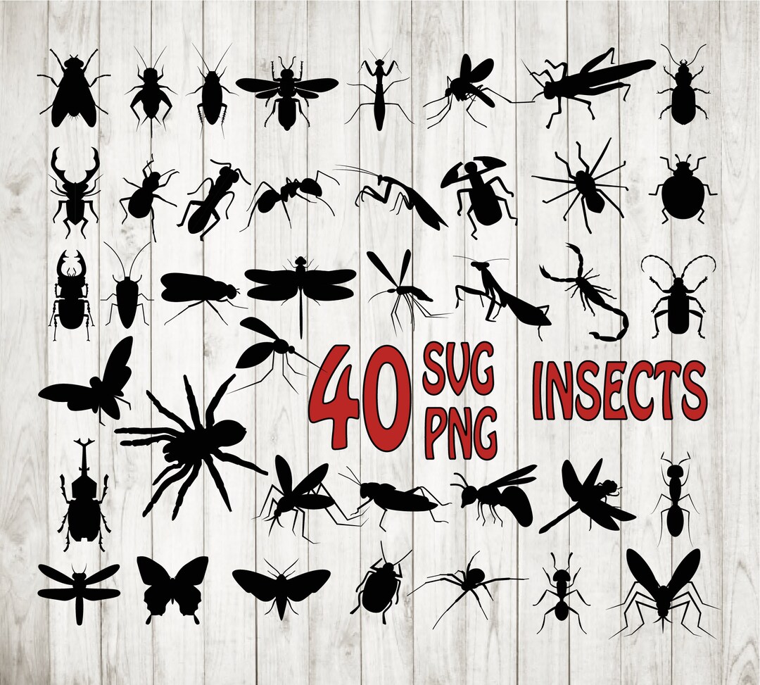 40 X Insects Silhouettes BUNDLE SVG/PNG, Insects Svg Bundle, Insects ...