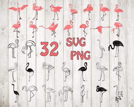 32 X Flamingo Bundle Flamingo Svg Flamingo Cut File - Etsy