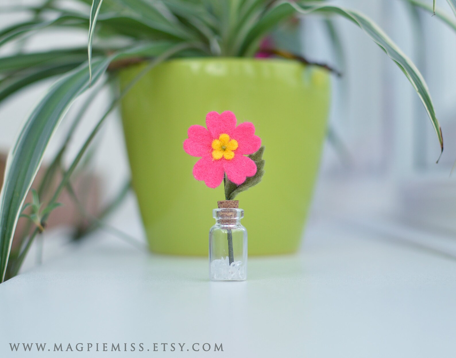 Primrose Gift Matchbox Gift Felt Primrose Mothers Day - Etsy