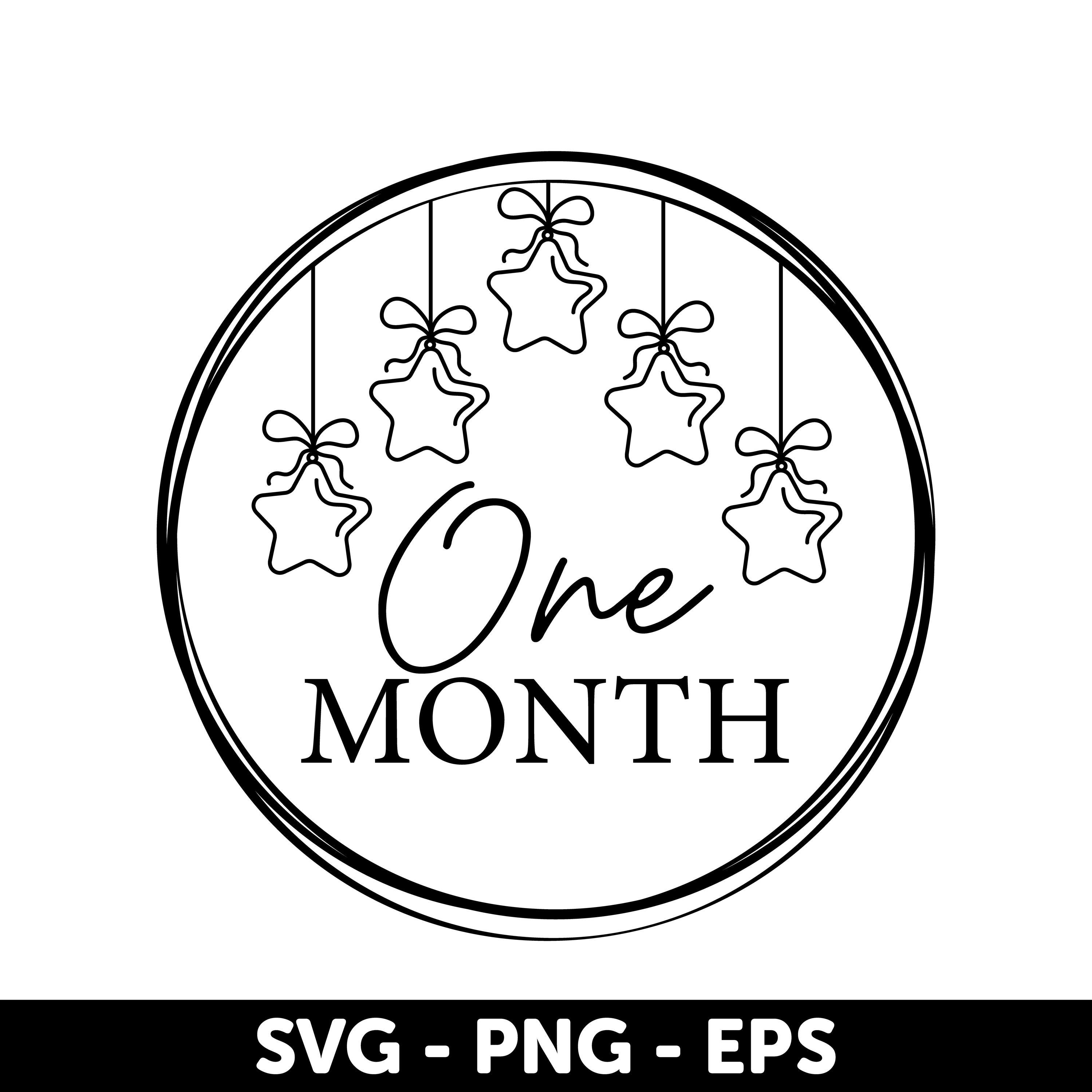 Baby Monthly Milestone SVG, Baby Milestone Svg, Milestone Disc SVG ...