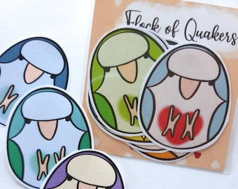 Quaker Parrot Sticker | Etsy