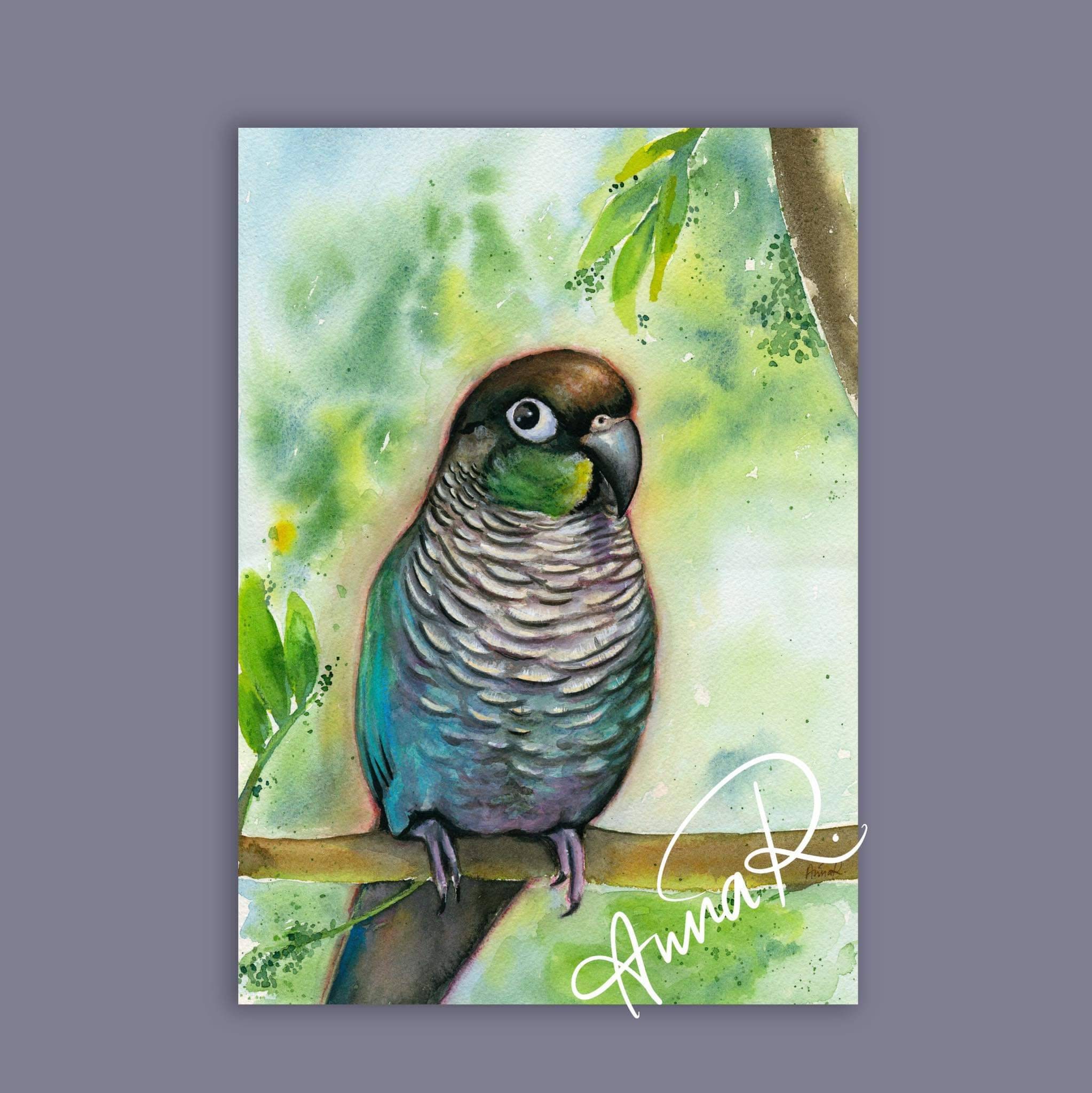 Green Cheek Conure Art