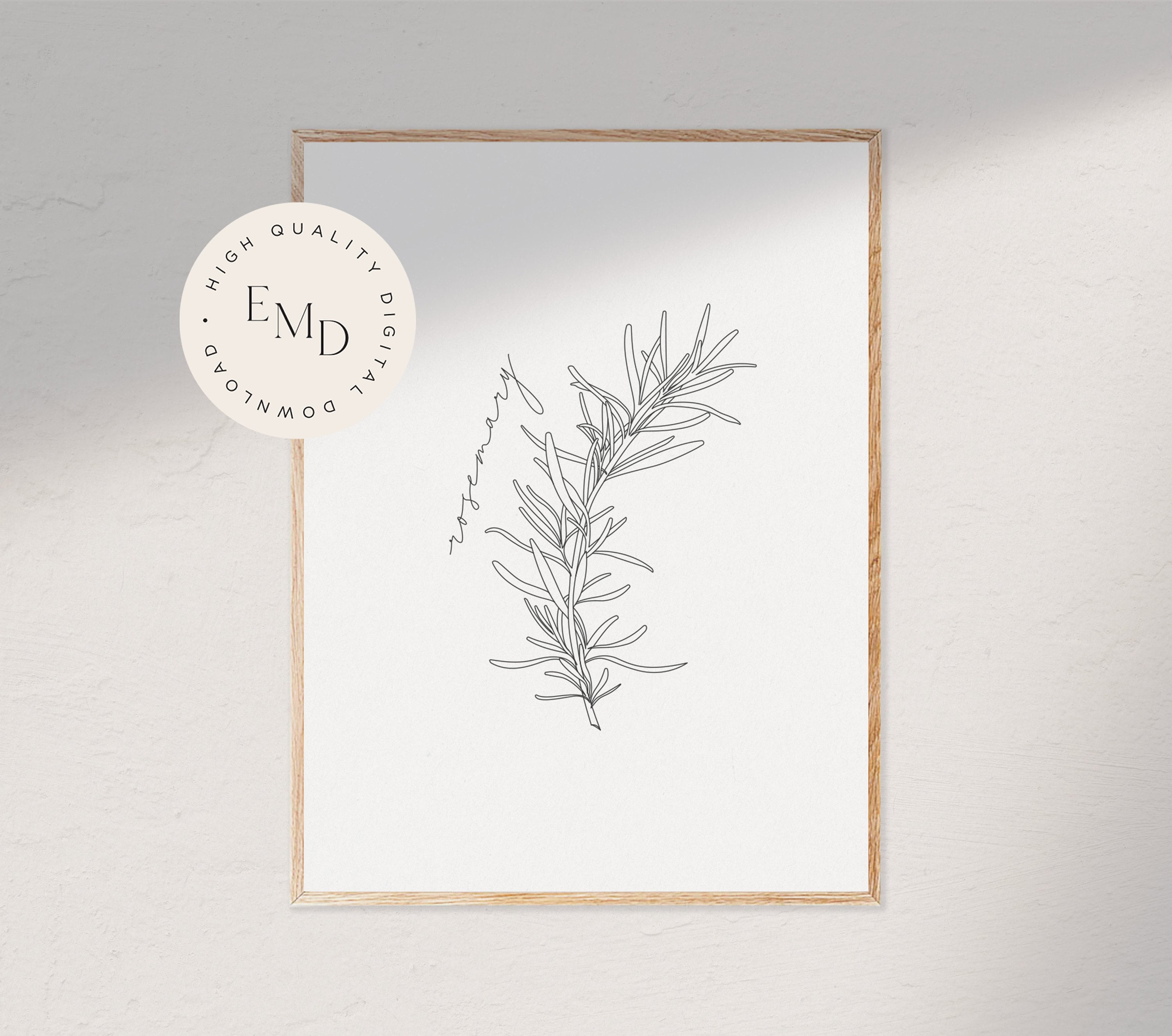 Rosemary Sprig Drawing