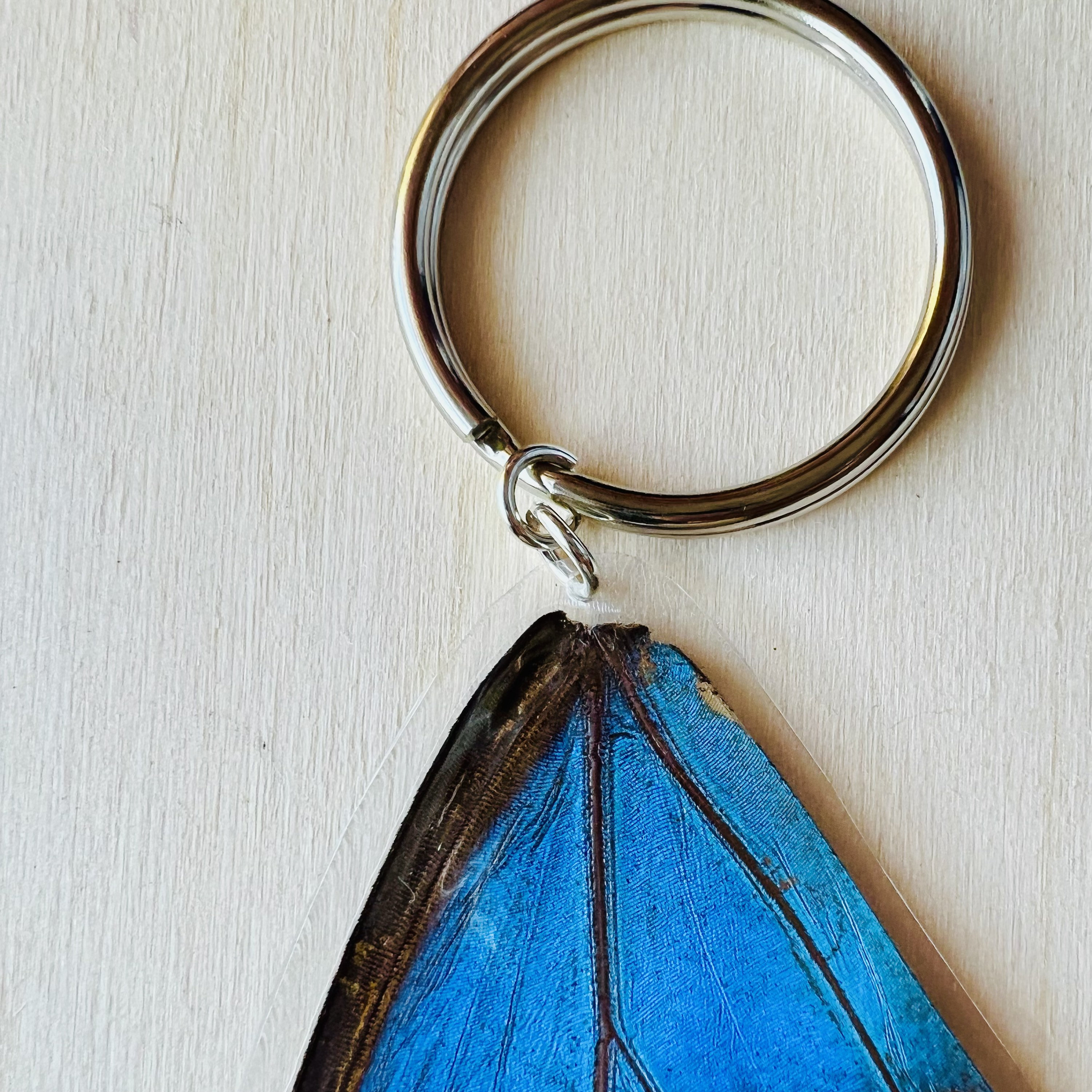 REAL Blue Morpho Butterfly Wing Keychain - Etsy