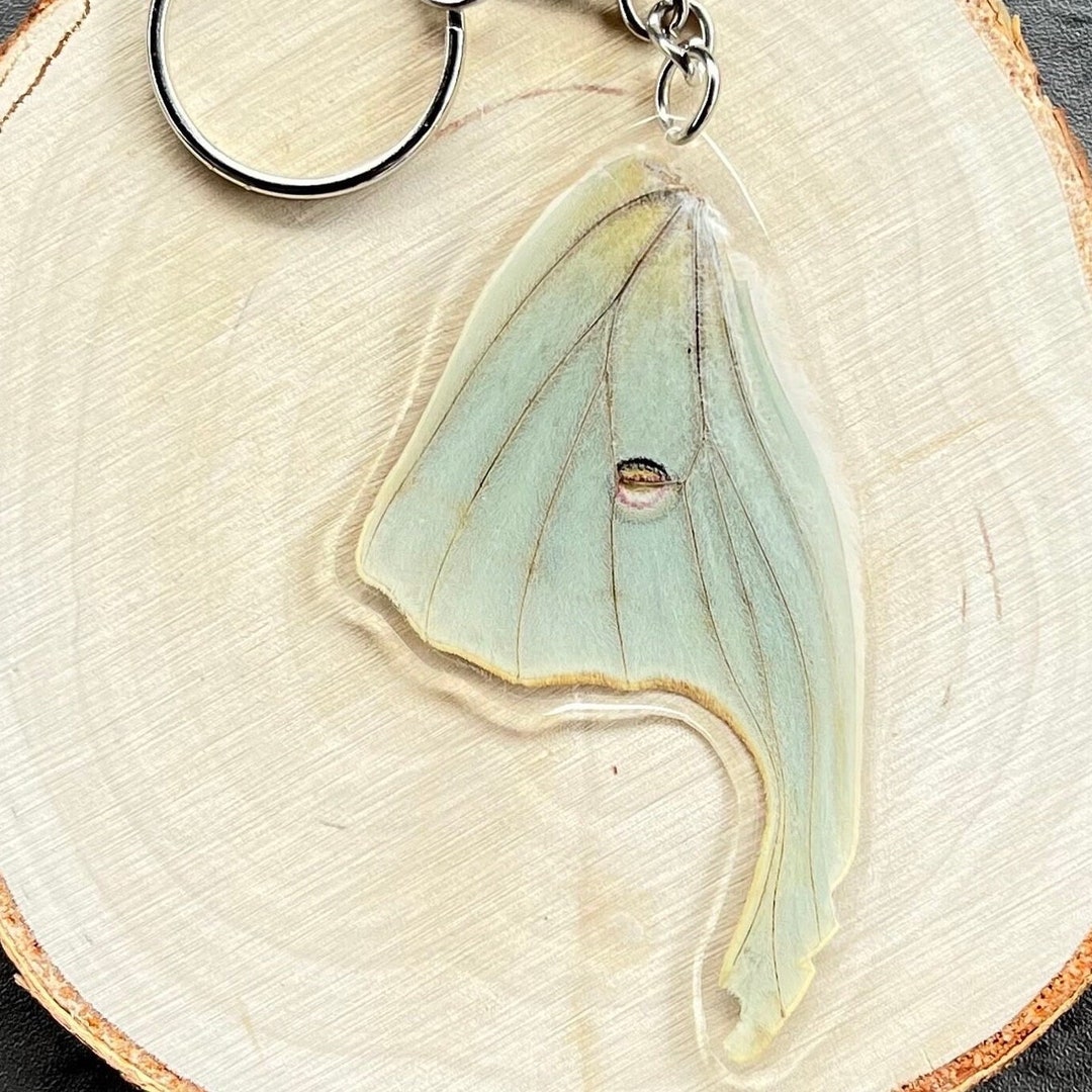 Luna / Moon Moth Lower Wing Keychain - Etsy