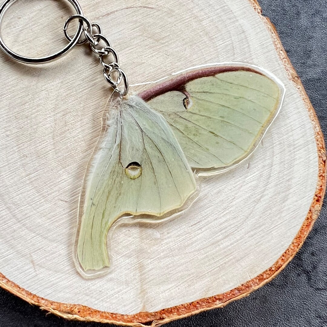 Luna / Moon Moth Upper and Lower Wing Keychain - Etsy