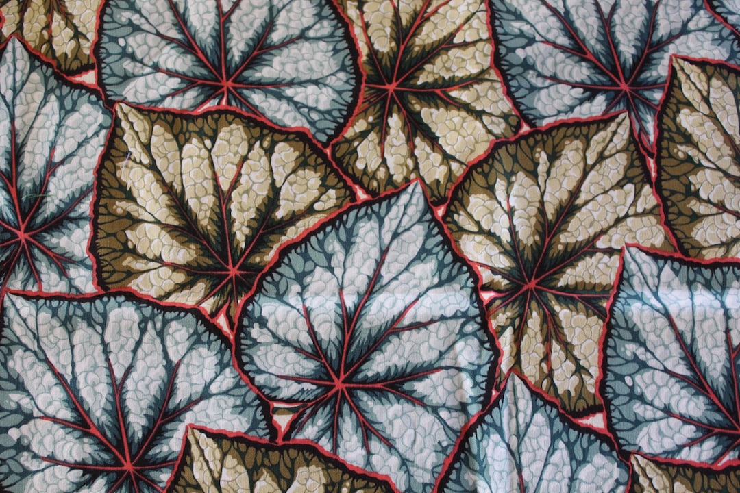 Kaffe Fassett Collective - Philip Jacobs Begonia Leaves Fabric for ...