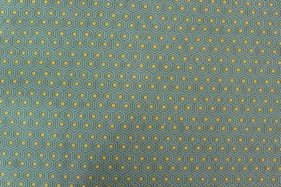 Tula Pink Tortoise Shell Fabric for Freespirit - Slow & Steady Fabric ...