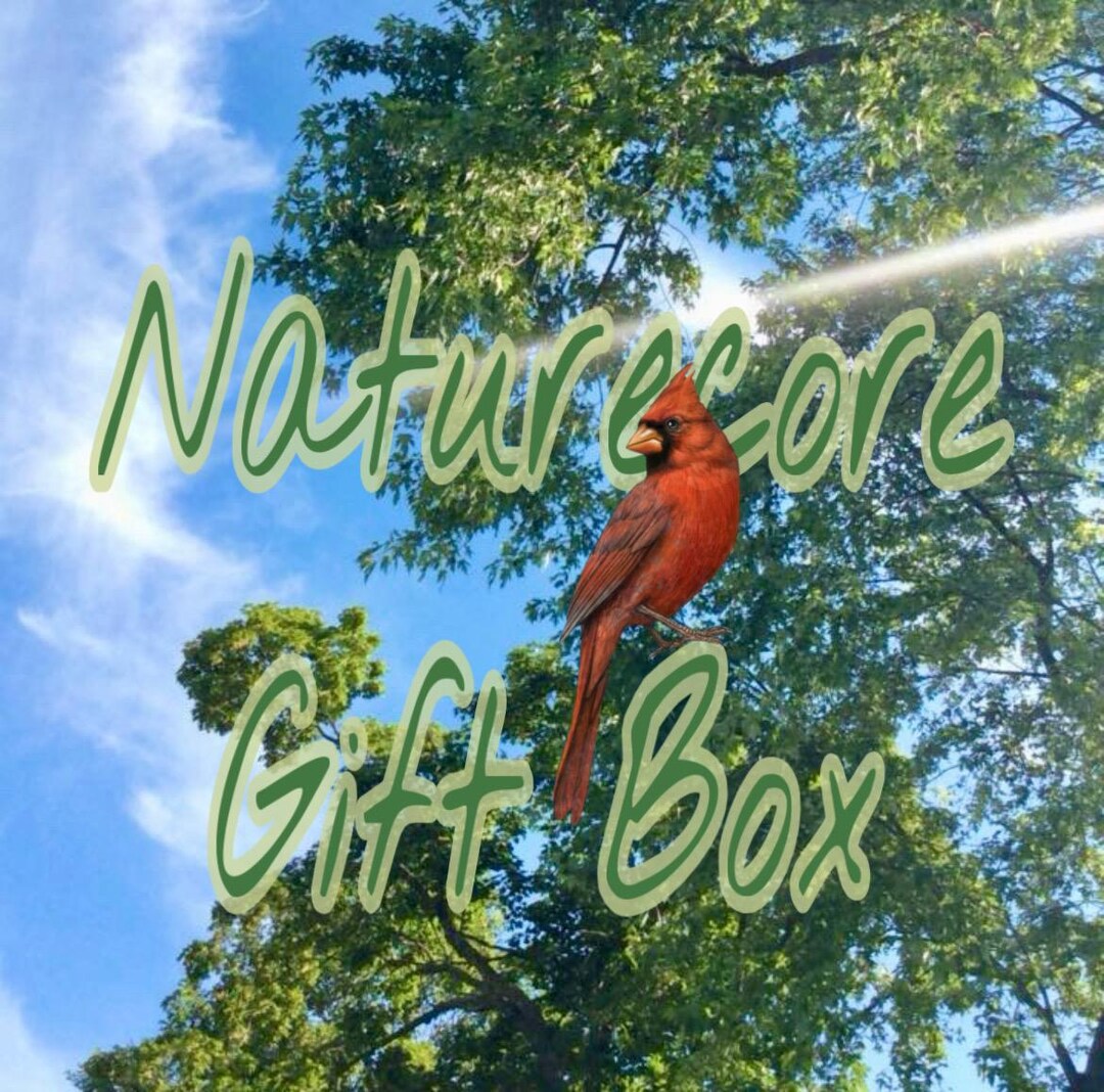 Naturecore Gift Box - Etsy