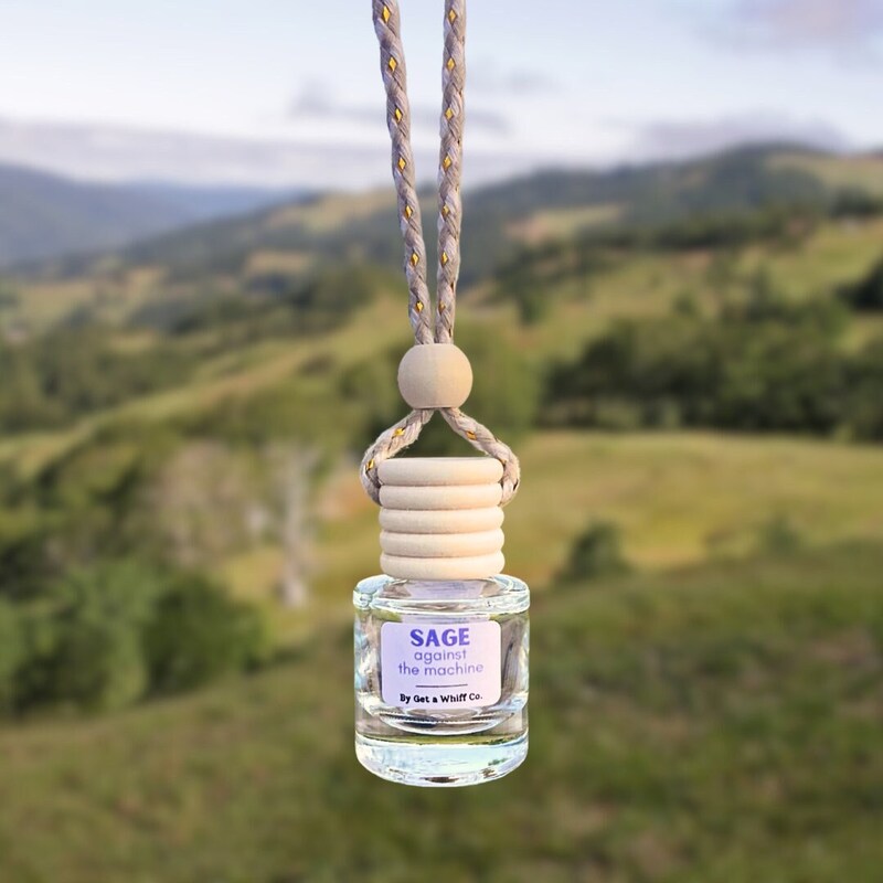 Cute Car Scents - Etsy