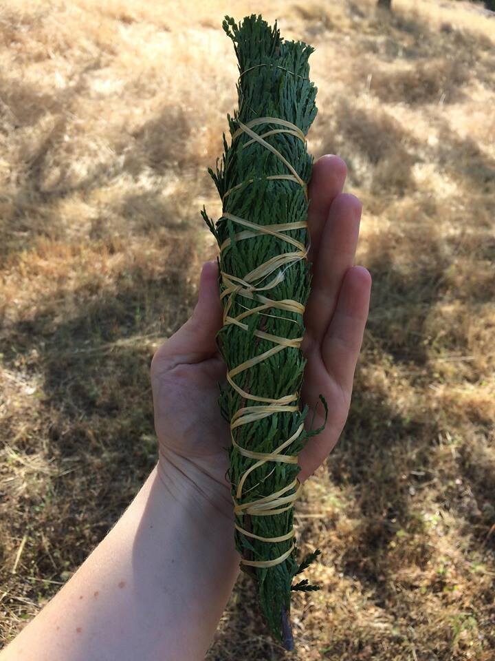 Fresh Cut Incense Cedar Bundle - Etsy