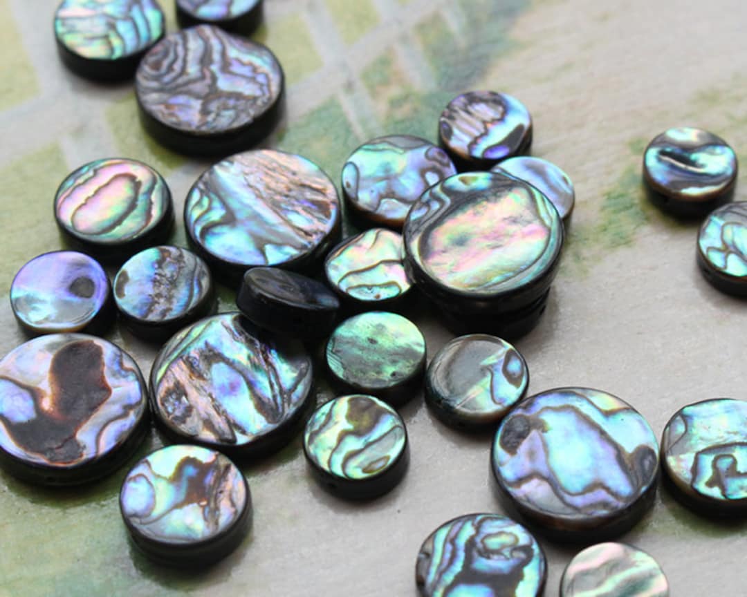 6pcs 8-19mm Abalone Shell Round Coin Charms Pendants, Abalone Natural ...