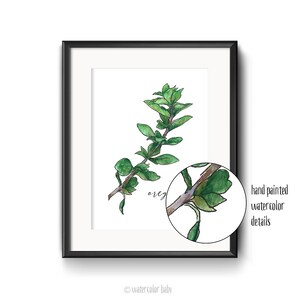Oregano Herb Print Digital Art Instant Download Printable Food Kitchen ...