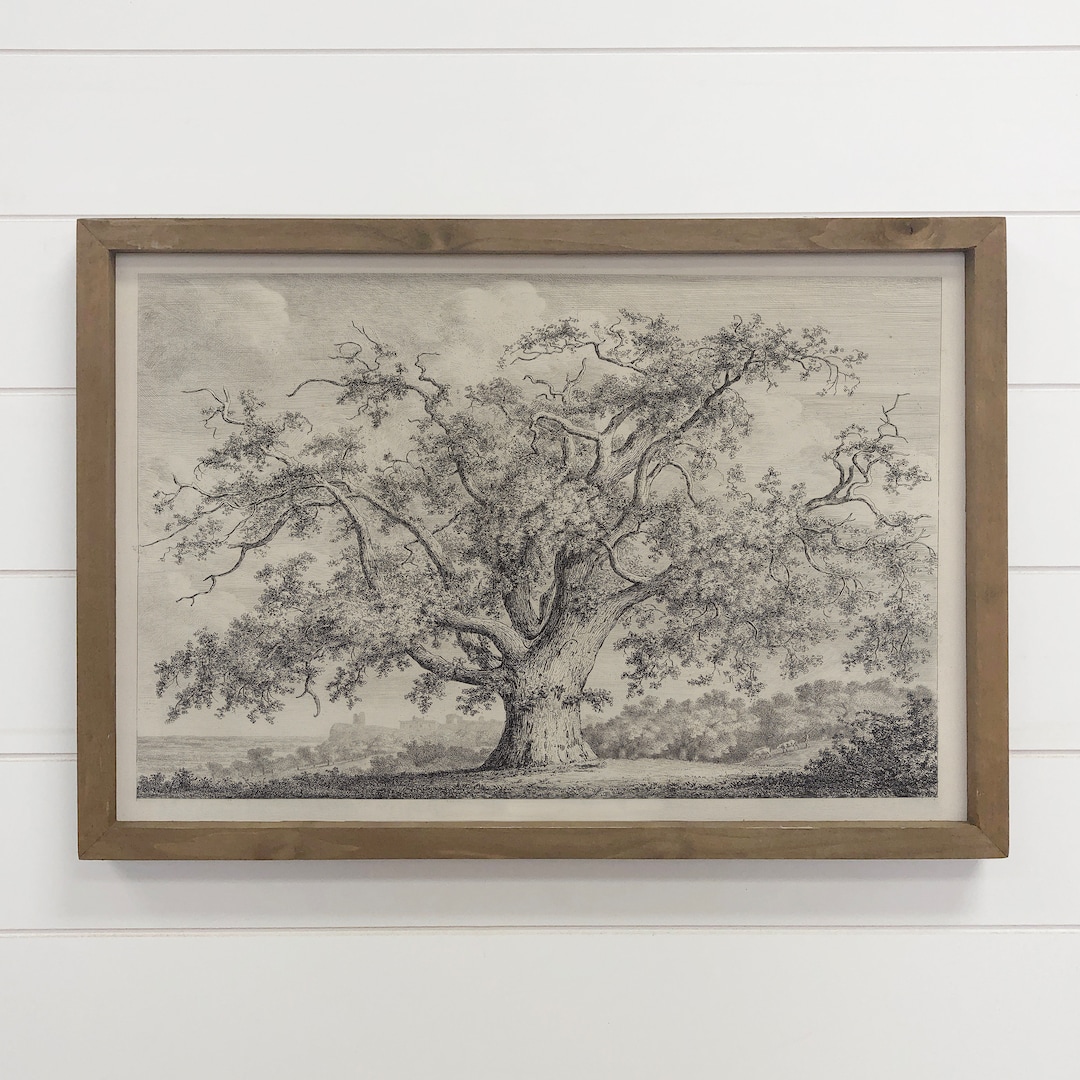 Large Old Elm Tree - Large Tree Sketch Canvas Art - Framed - Etsy
