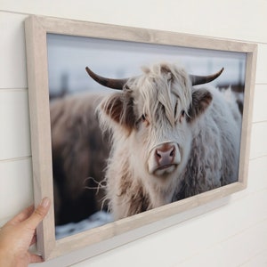 White Highland Cow Farmhouse Décor Framed Animal Photo - Etsy