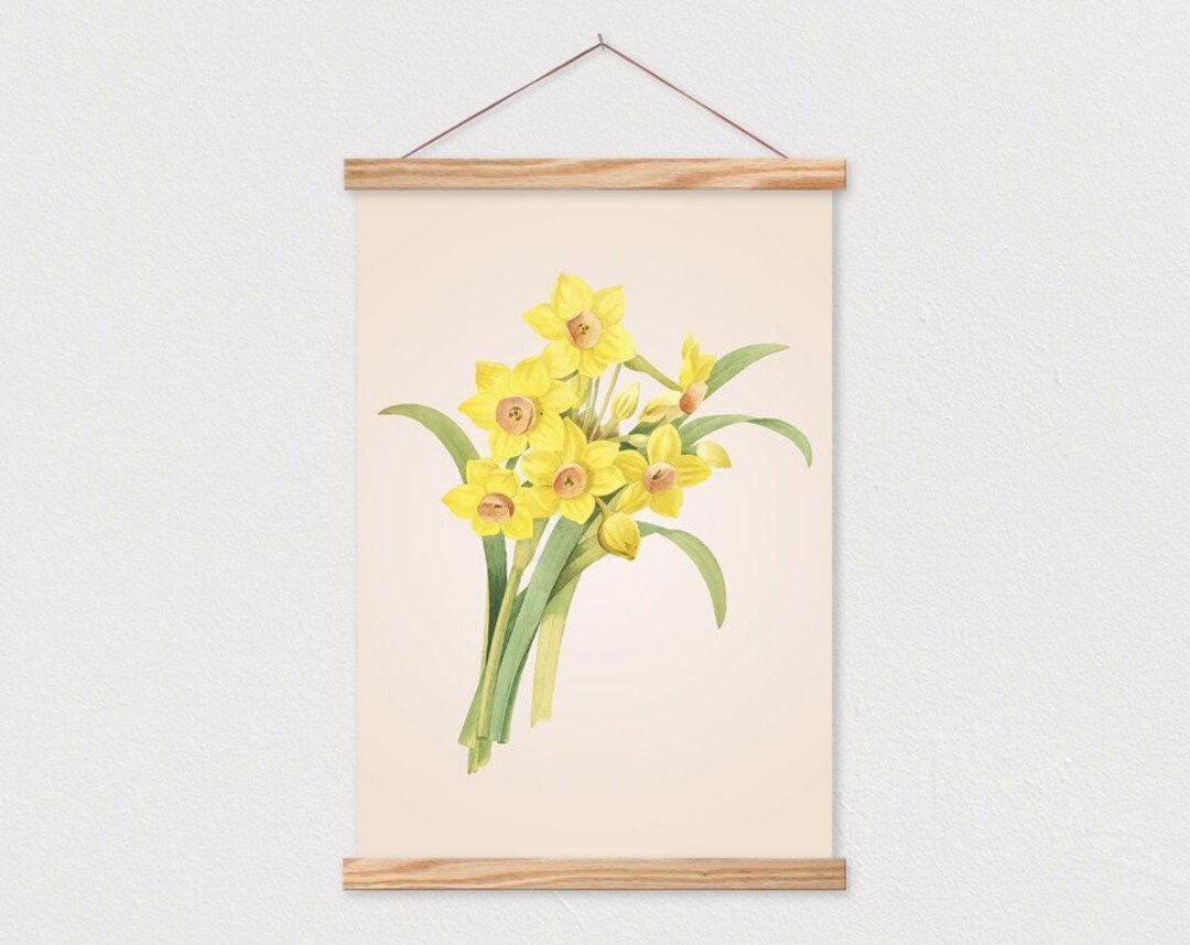 Vintage Botanical Daffodil Drawing Canvas Print With Wood Frame Rails ...