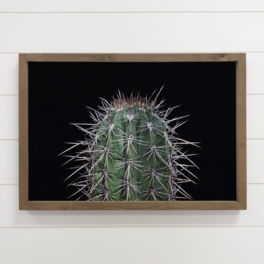 Cactus Spikes - Cactus Canvas Wall Art - Wood Framed Decor - Etsy