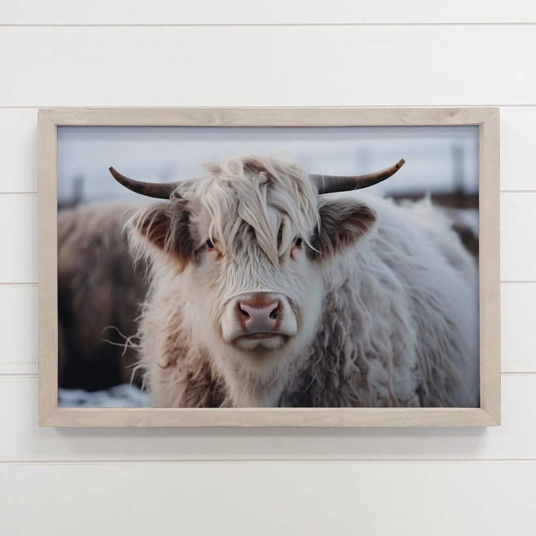 White Highland Cow Farmhouse Décor Framed Animal Photo - Etsy