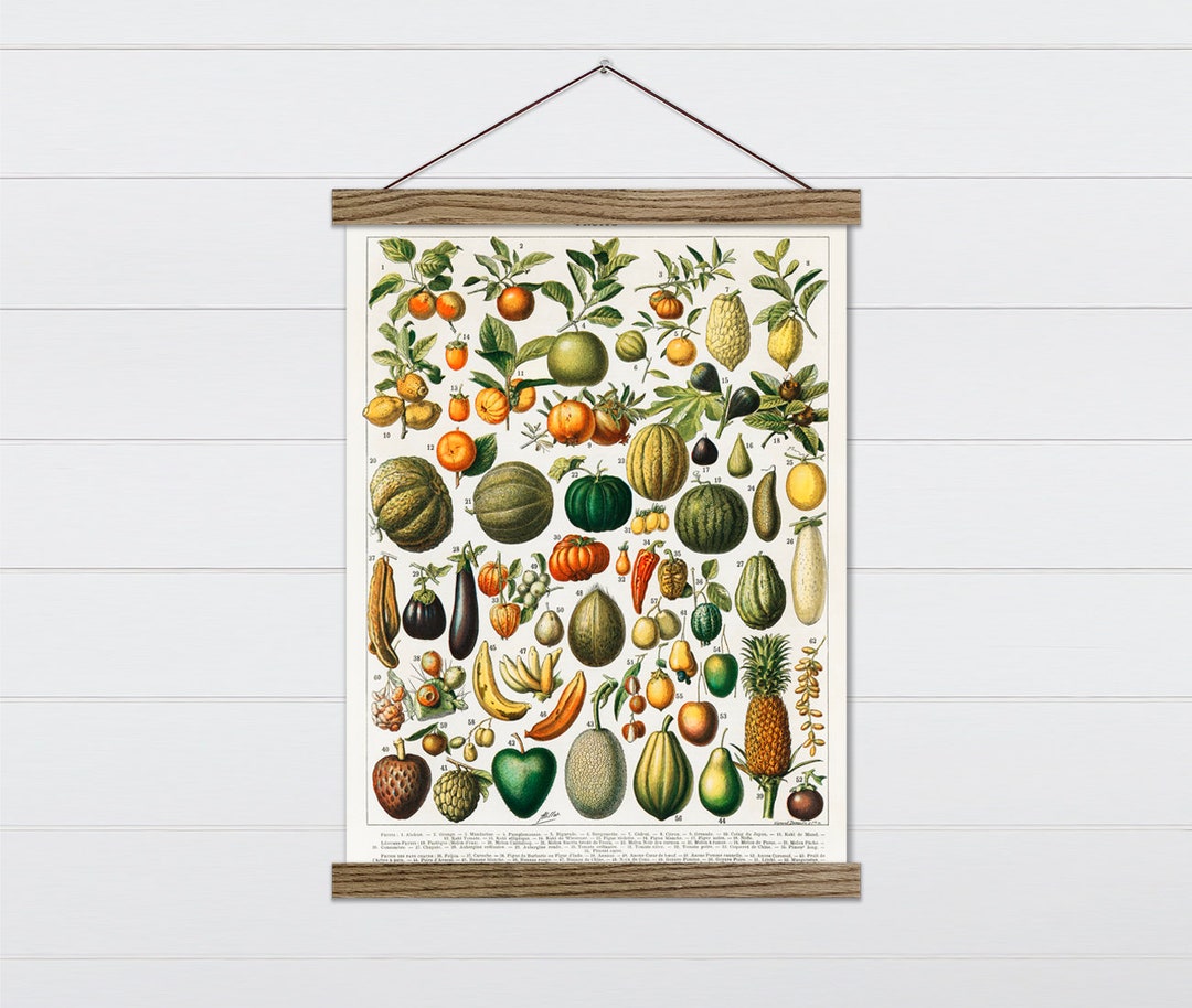 Vintage Fruit Chart Wall Décor - Farmhouse Kitchen Wall Art - Etsy