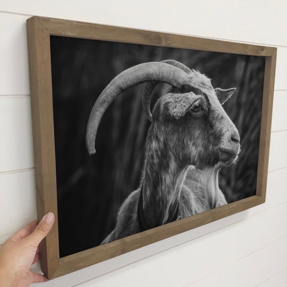Billy Goat Profile