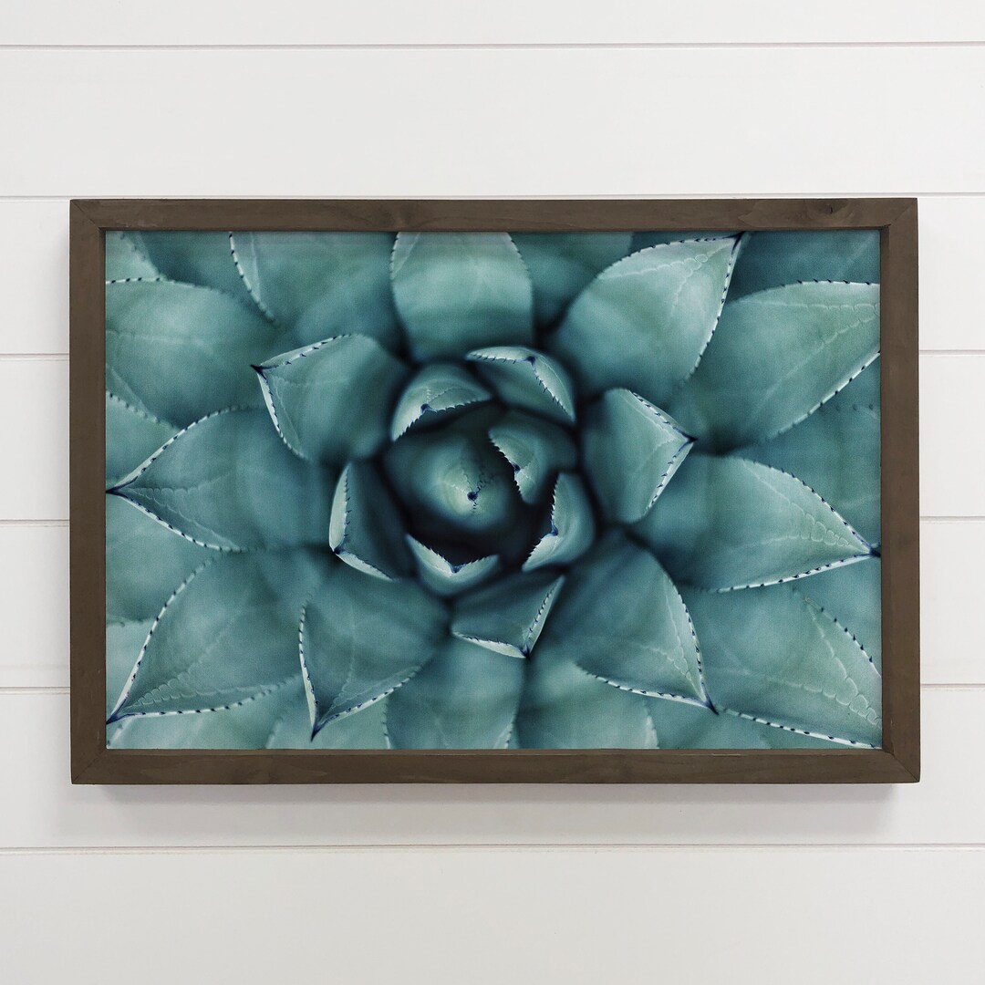 Agave Star - Agave Canvas Art - Wood Framed Flower Artwork - Etsy