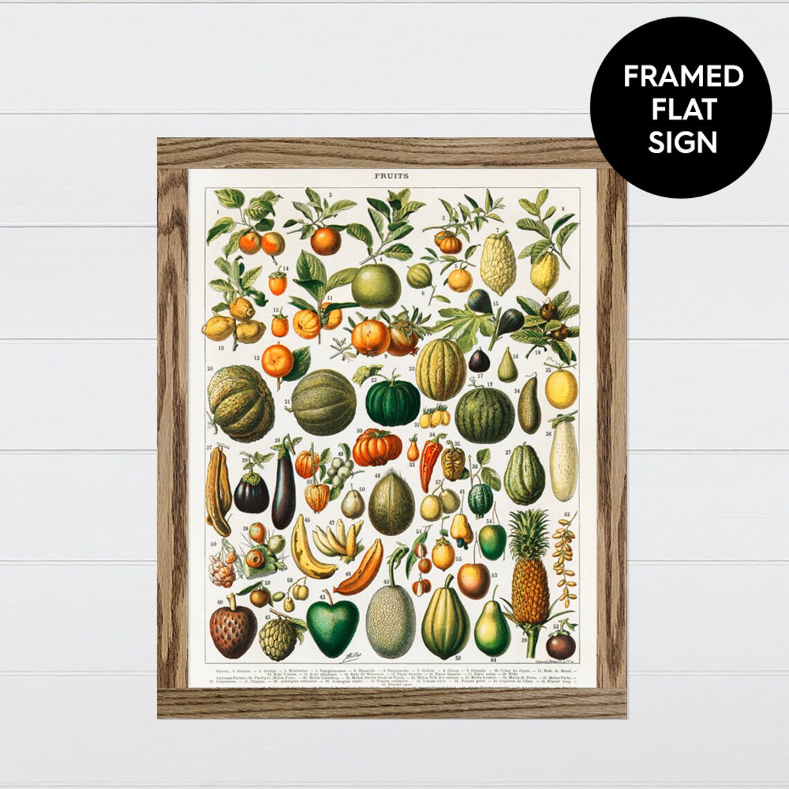 Vintage Fruit Chart Wall Décor Farmhouse Kitchen Wall Art - Etsy