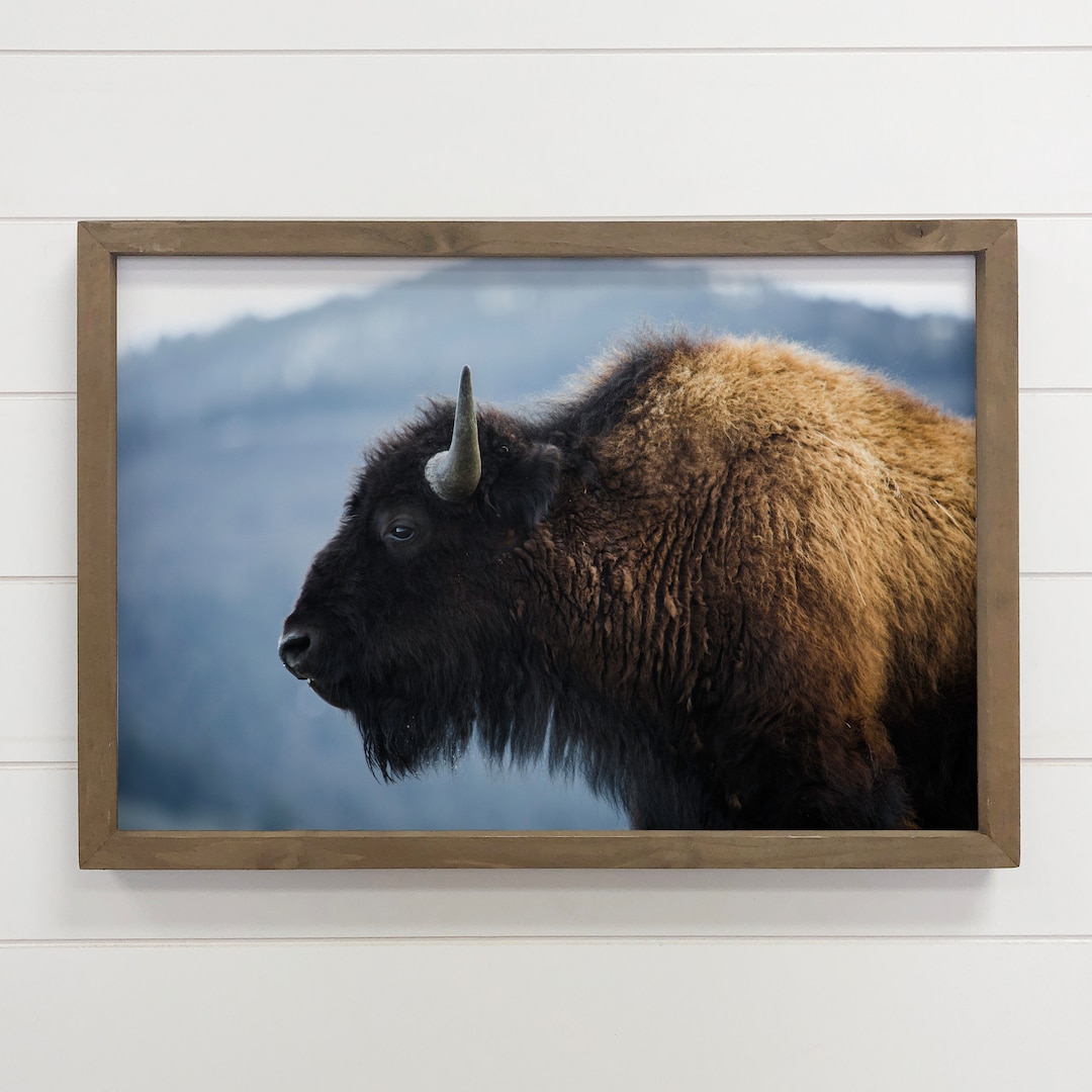 Bison Profile - Framed Nature Photograph - Cabin Wall Décor - Etsy