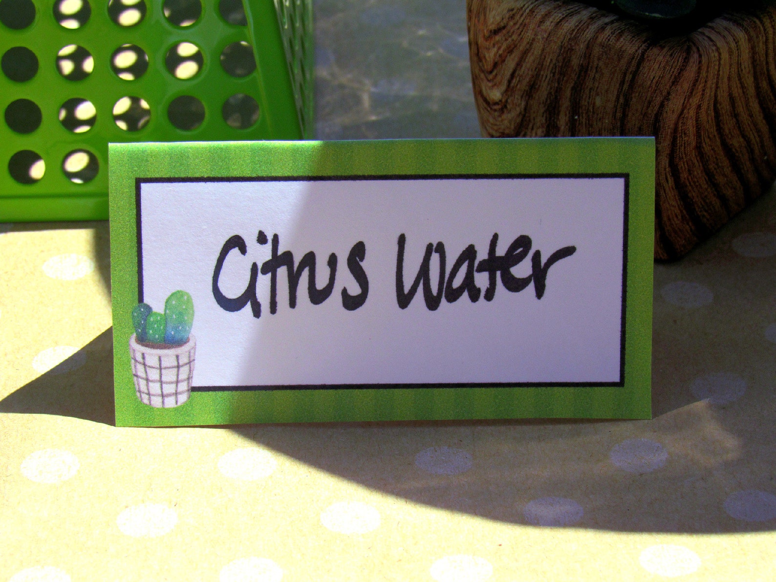 Sips & Succulents Plant and Sip Party Pack Digital Download 11 Files - Etsy