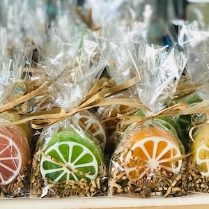 Citrus Luffa Soaps Party Favors Set of 15 - 100/baby Shower/bridal ...