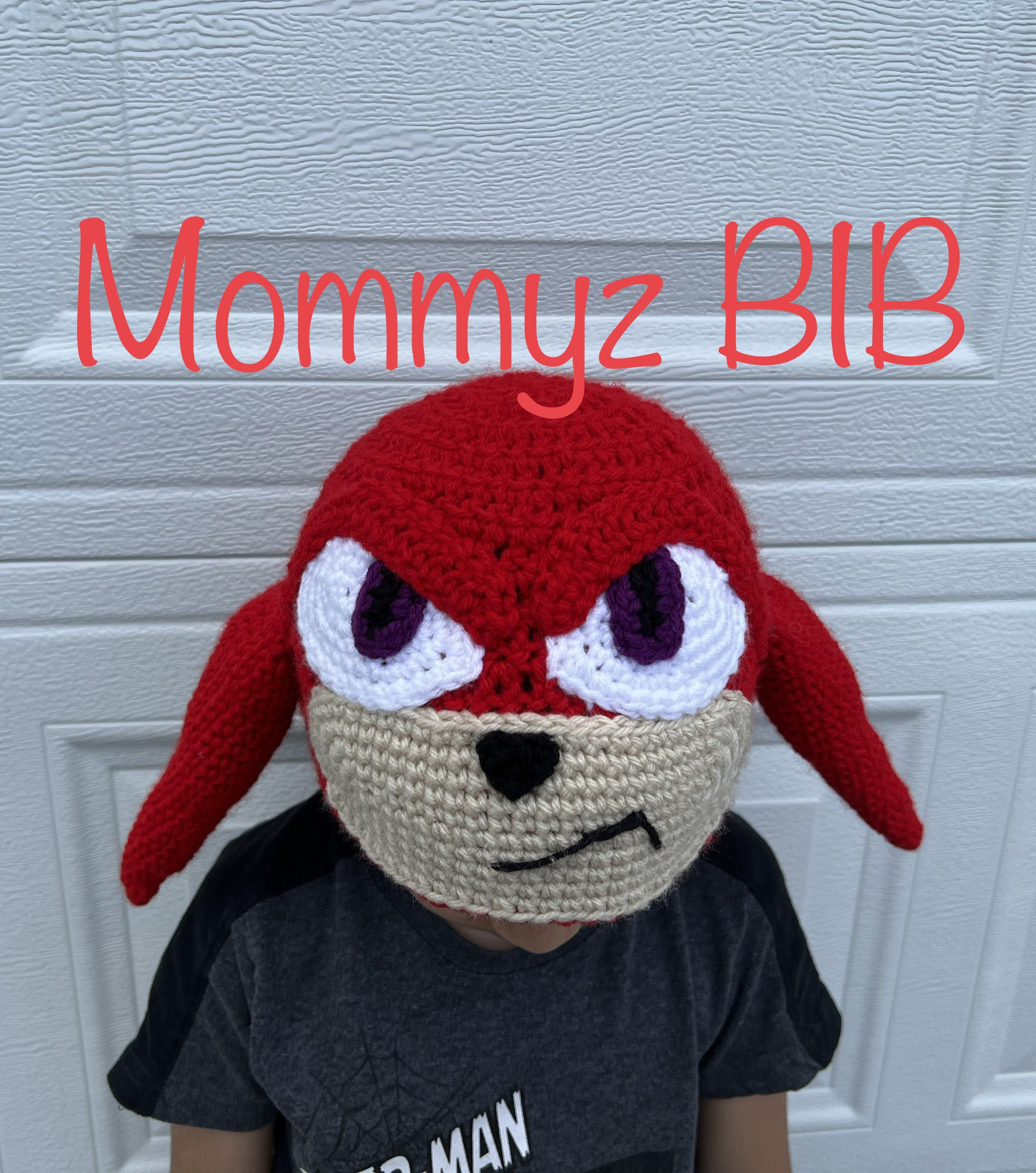 Fat Knuckles The Echidna