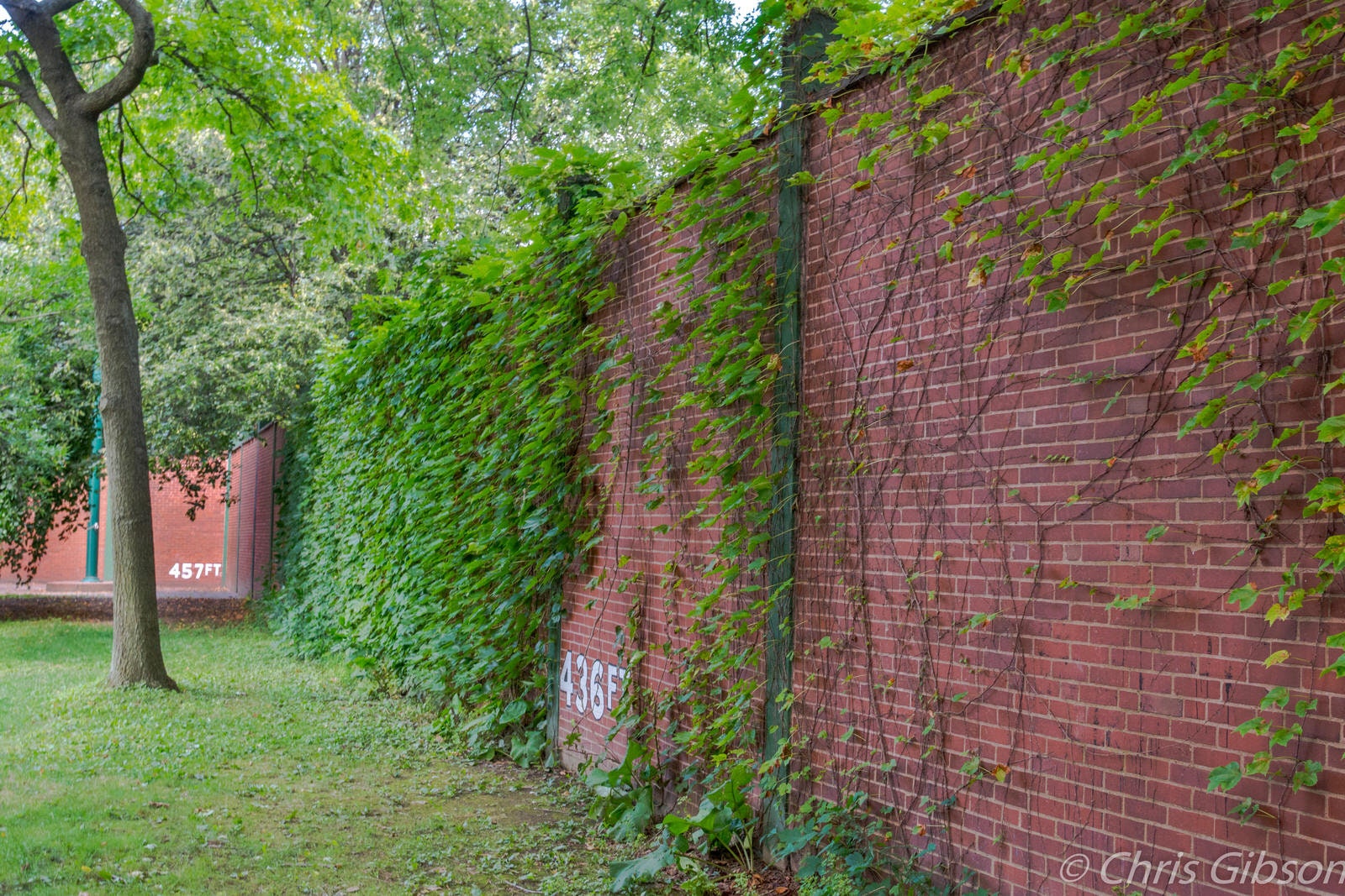 Forbes Field Wall, Pittsburgh, PA - Etsy