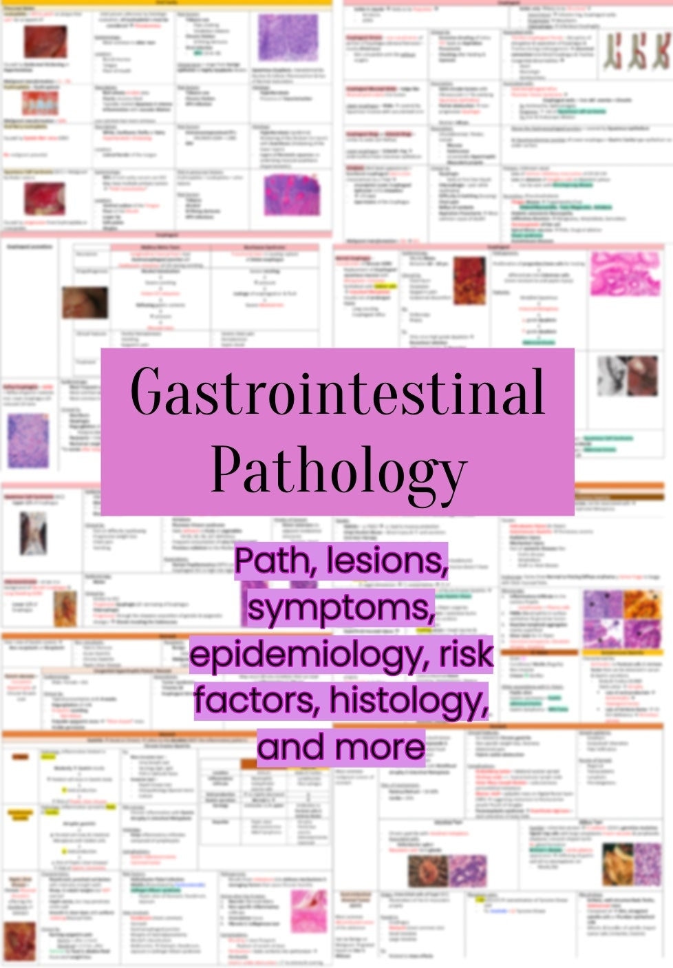 Gastrointestinal Pathology 35 Page Summary Tables - Etsy