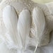 80 Colours Dyed Natural Real Stripped Goose Feathers for Fascinators ...