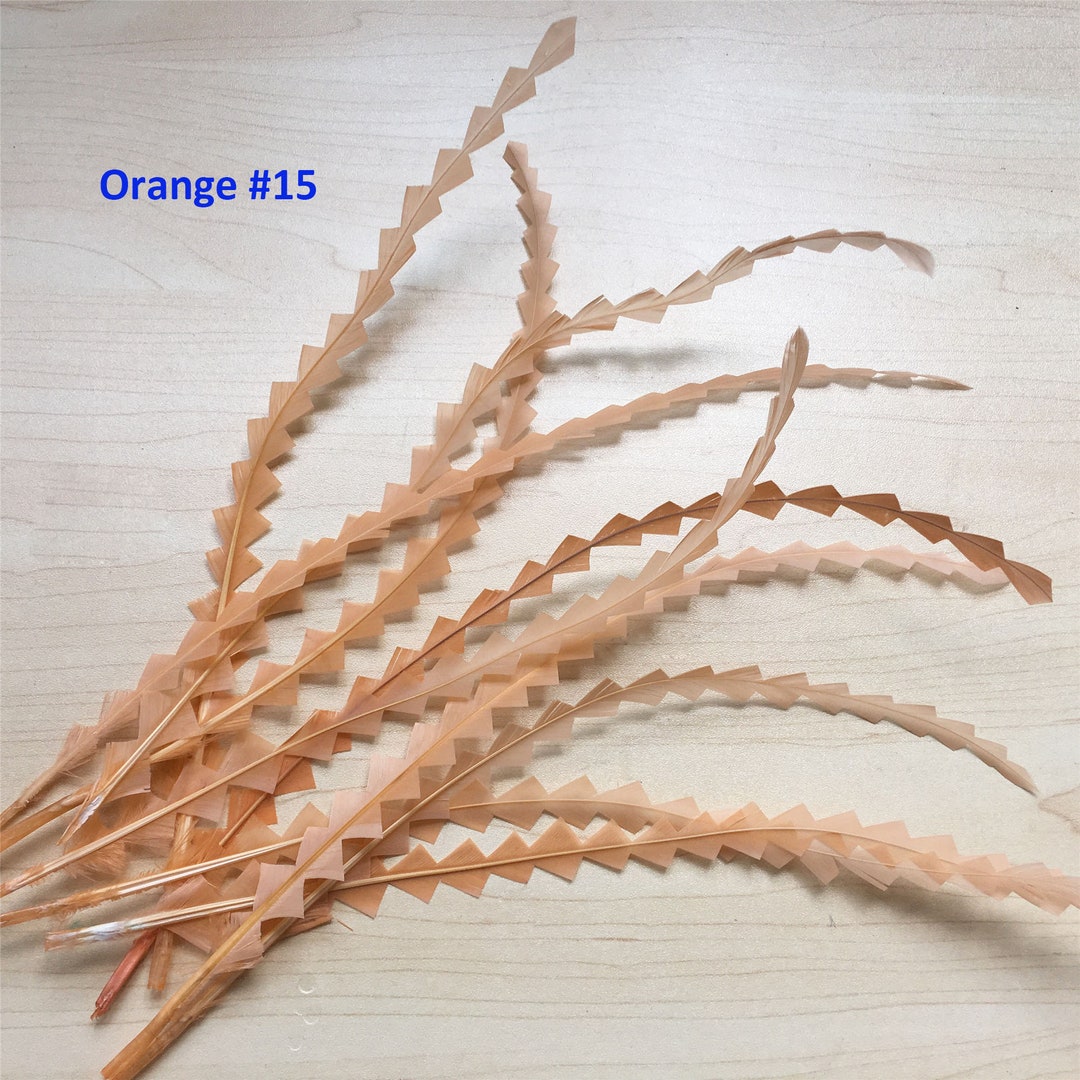 80 Colors Handcraft 10"-12" Chevron Cut Coque Feather Stripped ...