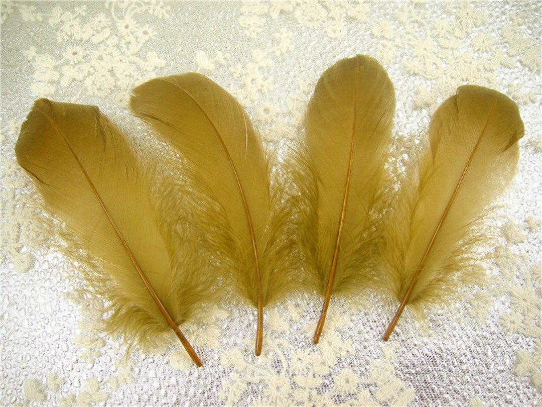 10 PCS Gold Dyed Natural Real Stripped Goose Feathers for Millinery Hat ...