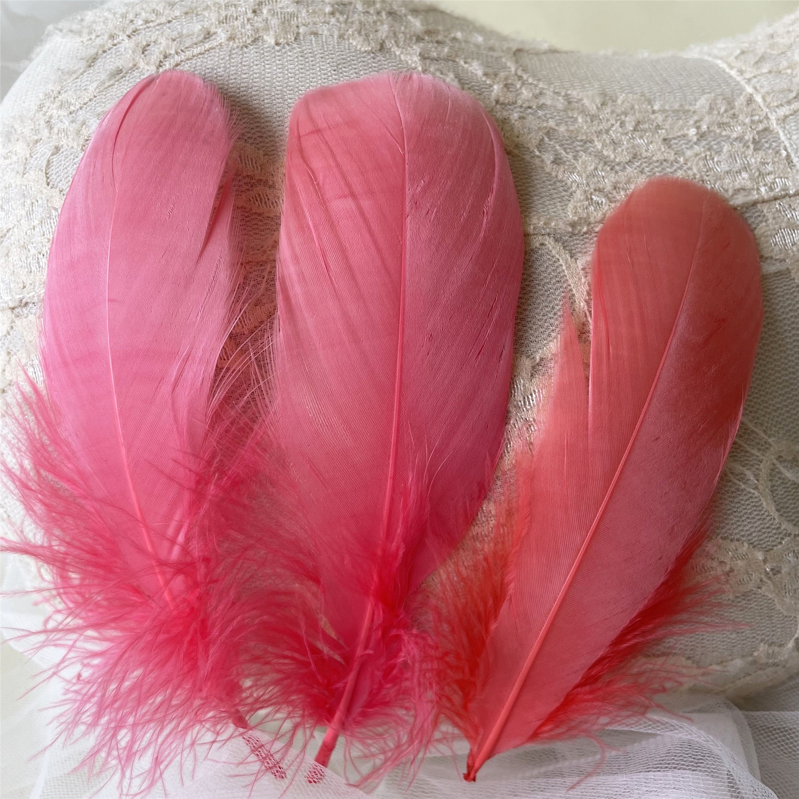 80 Colours Dyed Natural Real Stripped Goose Feathers for - Etsy