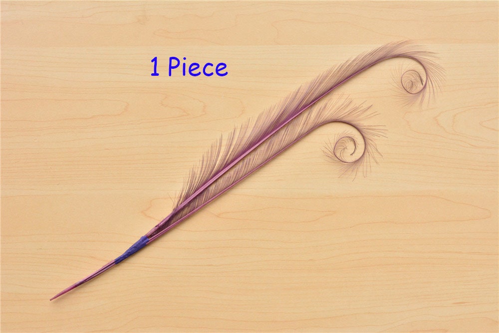 Burnt Curled Eyelash Effect Feather Pheasant Plume DIY For | Etsy