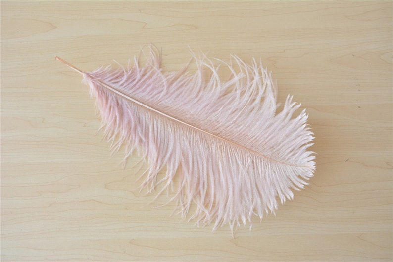 En vrac bricolage panache de plumes d’autruche mariage Party Table Noël ...