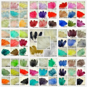 80 Colours Dyed Natural Real Stripped Goose Feathers for Fascinators ...