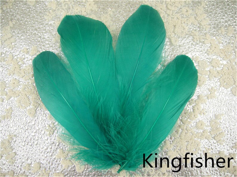 Wholesale Natural Real Dyed Stripped Goose Feathers for | Etsy